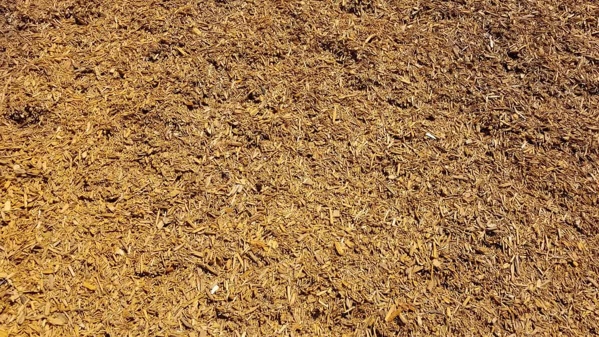 Mulch | Gold, Premium Brown, Red, Black, Northern White Cedar