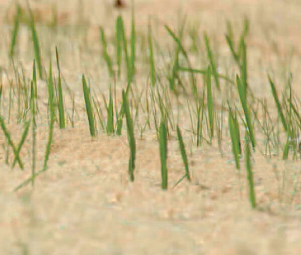 Erosion Control Products - Badger State Maintenance